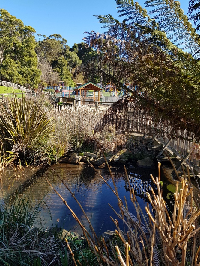 Discover Burnie Local Guide | Touch Stay